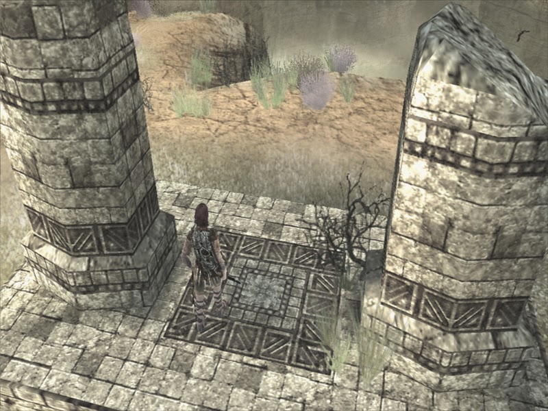 Nomad's blog: 11th Colossus