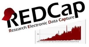 Sarnecka Lab Blog: REDCap Geek Out!