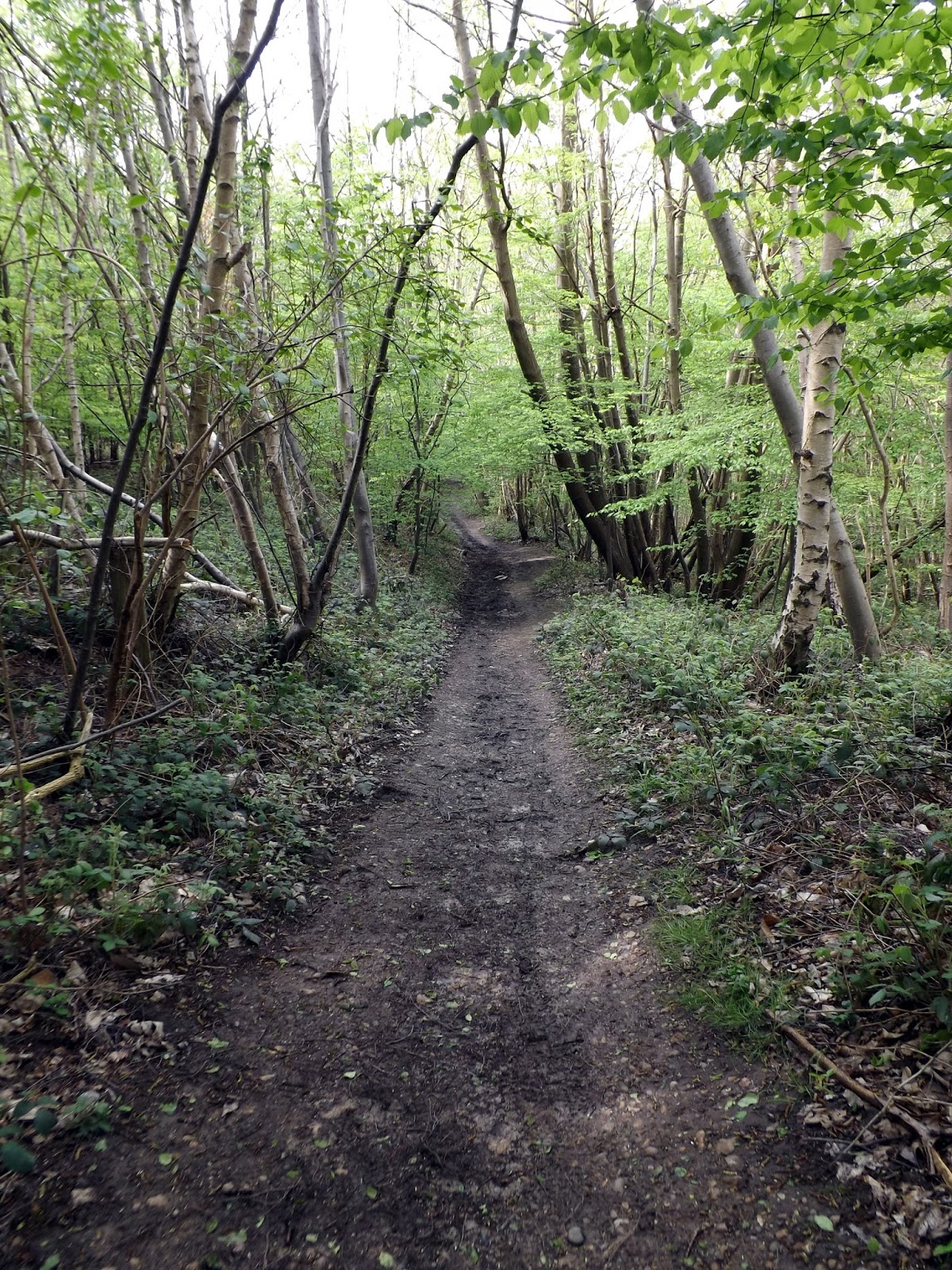 My Adventures 3: Cobham to Luddesdown Kent Circular walk 3rd May 2018