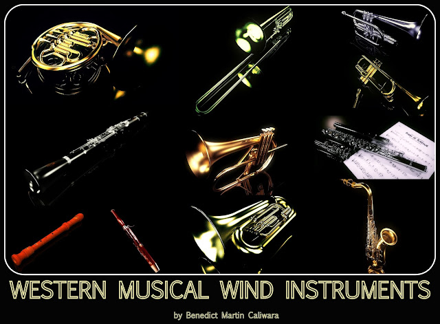 Western Musical Wind Instruments: Visual Presentation
