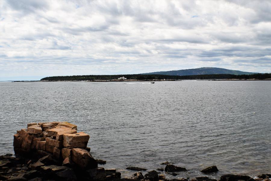 High Tide And Green Grass: Schoodic Point Maine