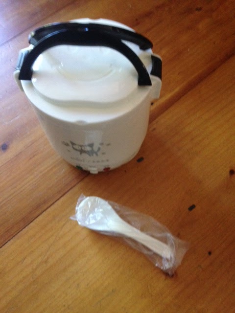 Brent's Travels: 12 Volt Rice Cooker For Prius Campervan Travels