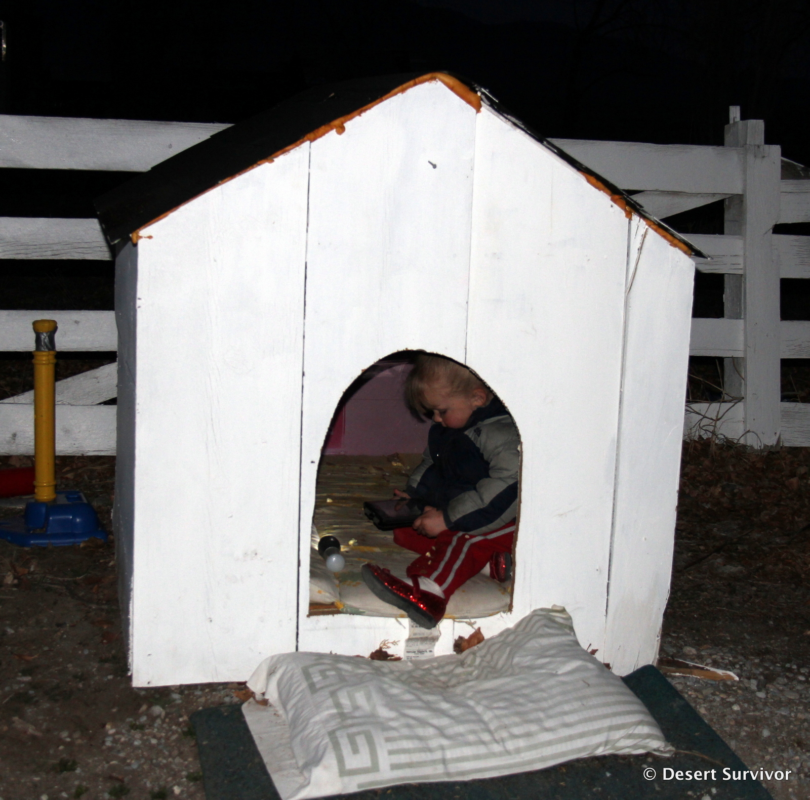 Desert Survivor: You're in the Doghouse Now