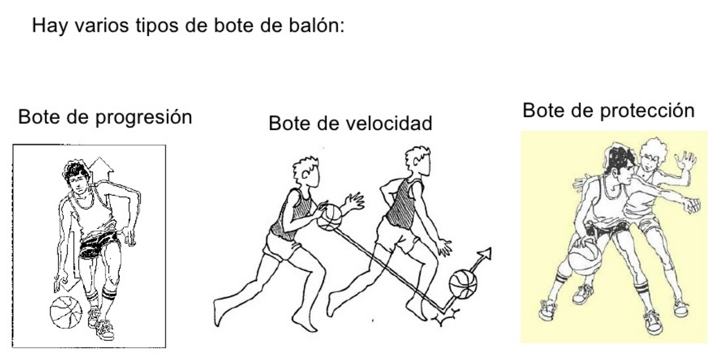 TIPOS DE BOTES DEL BALÓN EN BÁSQUET | EDUCACIÓN FÍSICA ACTUAL