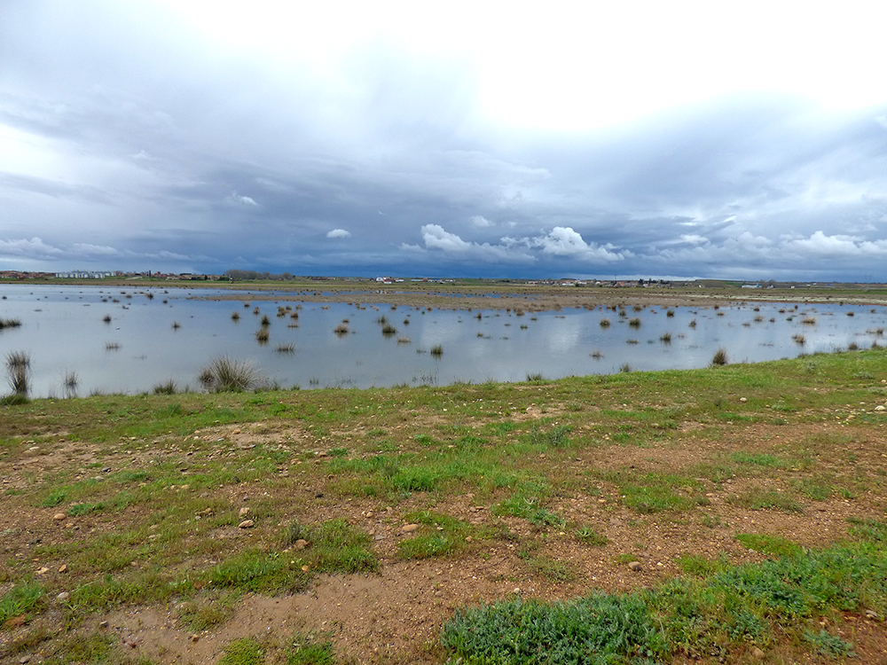 Recorriendo tierras castellano-leonesas : La Gravera de Grulleros