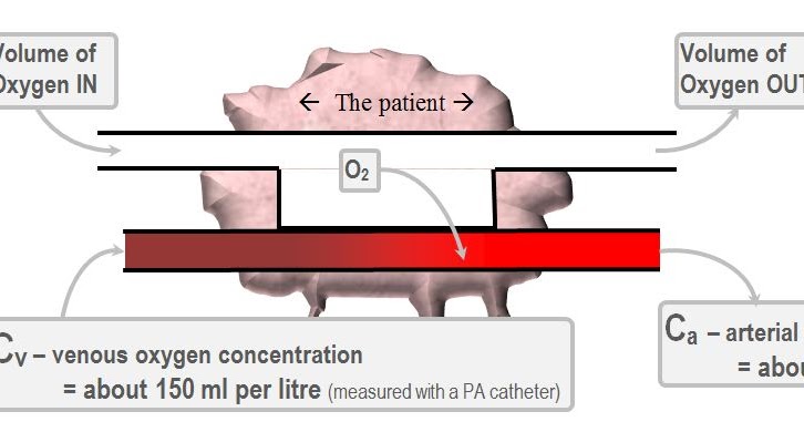 What is Fick Principle in Physiotherapy?