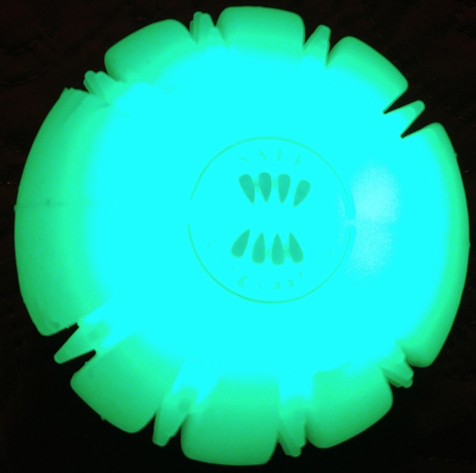 Heather Speaks Out: USB Flash Rechargeable Light Dog Ball