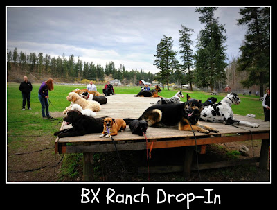 The Ruff Life: April 2012