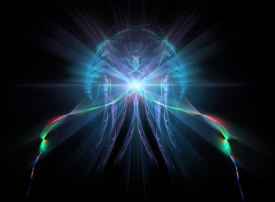 COELENTERATA ~ ASTRI_UEO