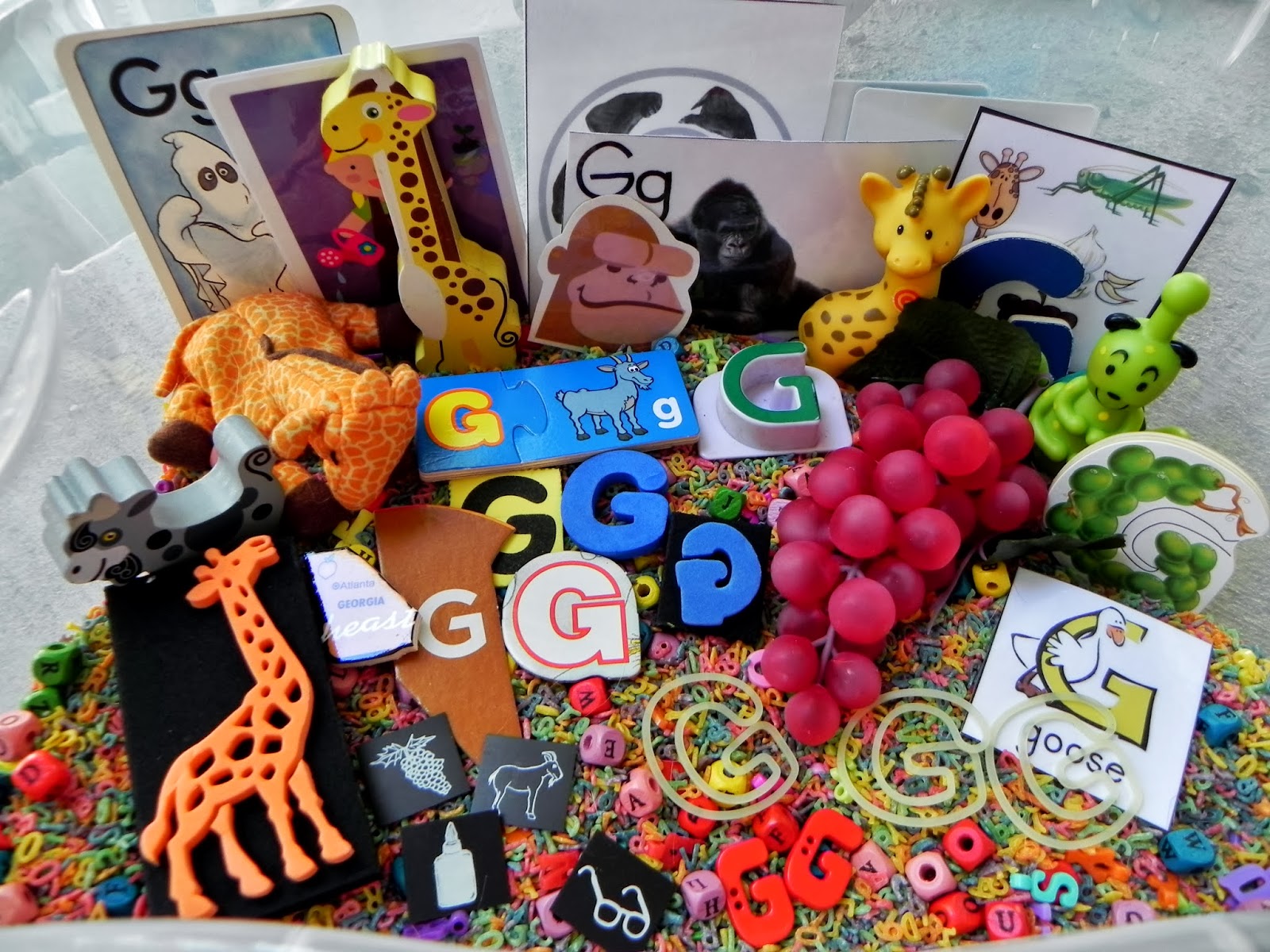 The Fantastic Five: Animal ABCs: Letter G