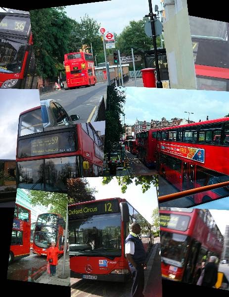 London buses one bus at a time: the return: The Number 255 Route