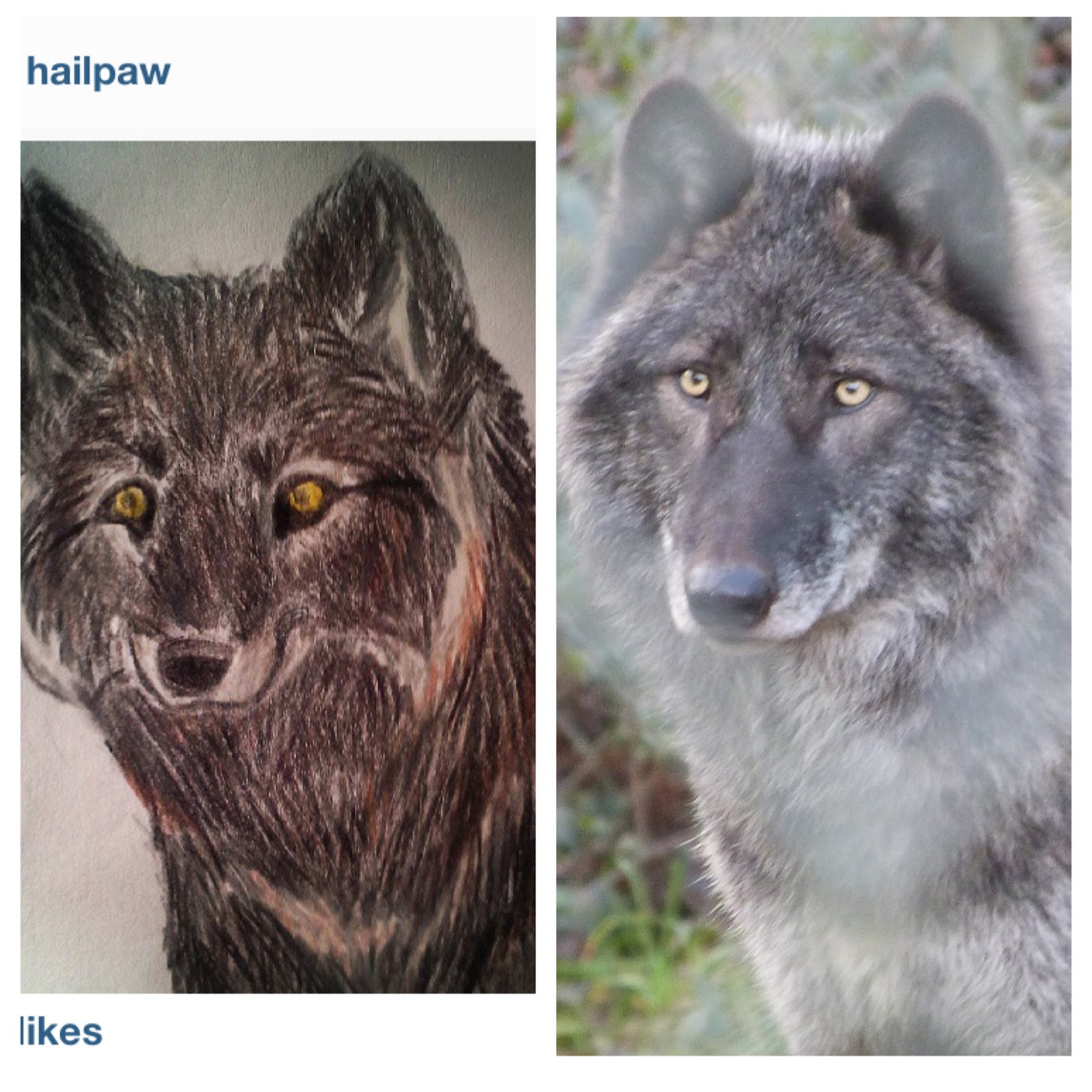 Kids4Wolves: Art and Writing Gallery