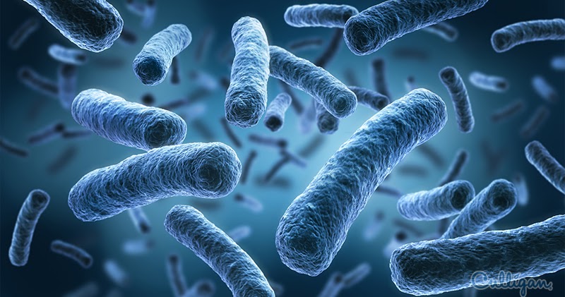 Teoría de los gérmenes. ~ LUXTENDER