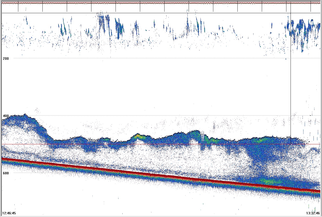 Blue Whiting Survey: 2018