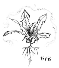 Skyrimy Things: Nirnroot Hunting