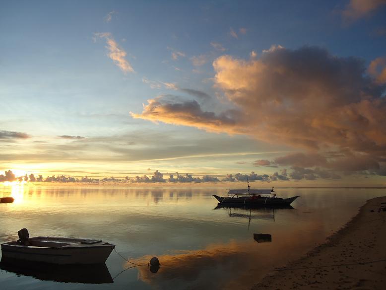 ARENA ISLAND: ACTIVITIES & AMENITIES