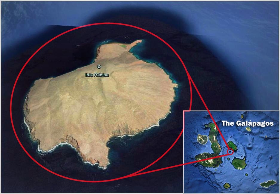Galapagos Islands Information | Ecuador | Cruises | Tours: Rábida ...