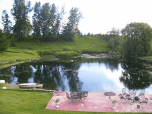 Different between Natural & Man made ponds