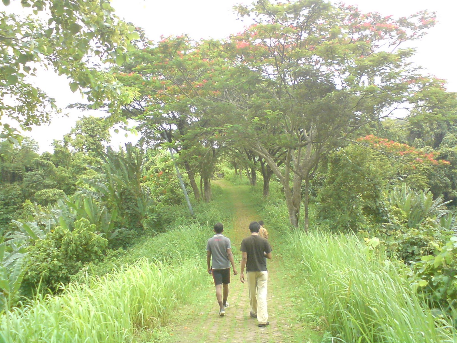 AMAZING BANGLADESH: MEGHLA