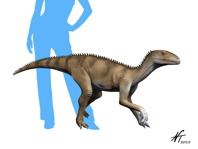 Dinosauromorpha - Alchetron, The Free Social Encyclopedia