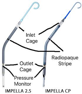 Impella Basics for Caregivers