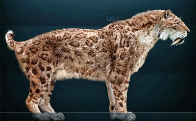 Synapsida: Pleistocene (Pt 11): Sabretooth Smilodon