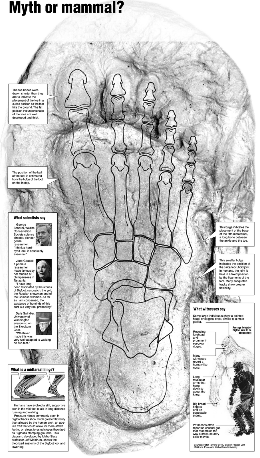 Sasquatch Tracks: Pictures of Sasquatch Tracks and Casts