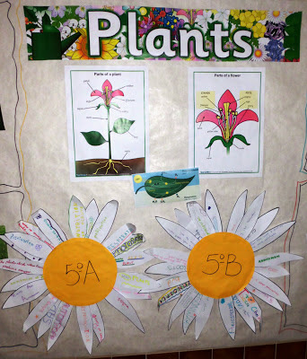 SCIENCE IN THE SCHOOL: Displays
