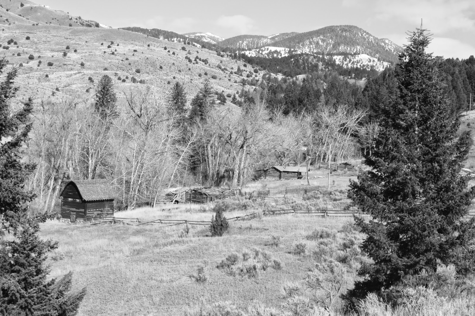 Greater Yellowstone Guru: OTO Ranch Entrance Revamp