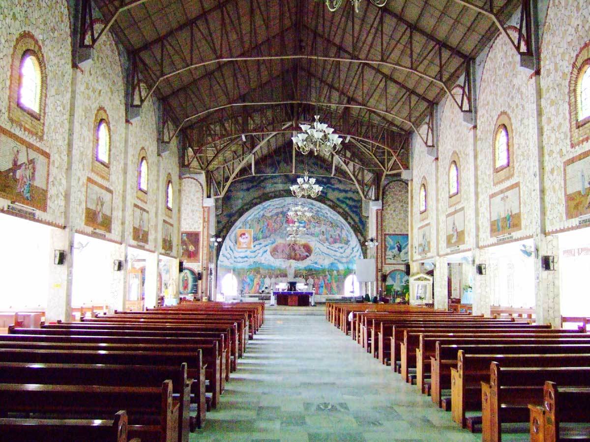 Discover The Beauty of TIGBAUAN