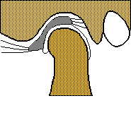 Temporomandibular Joint Movement Animation