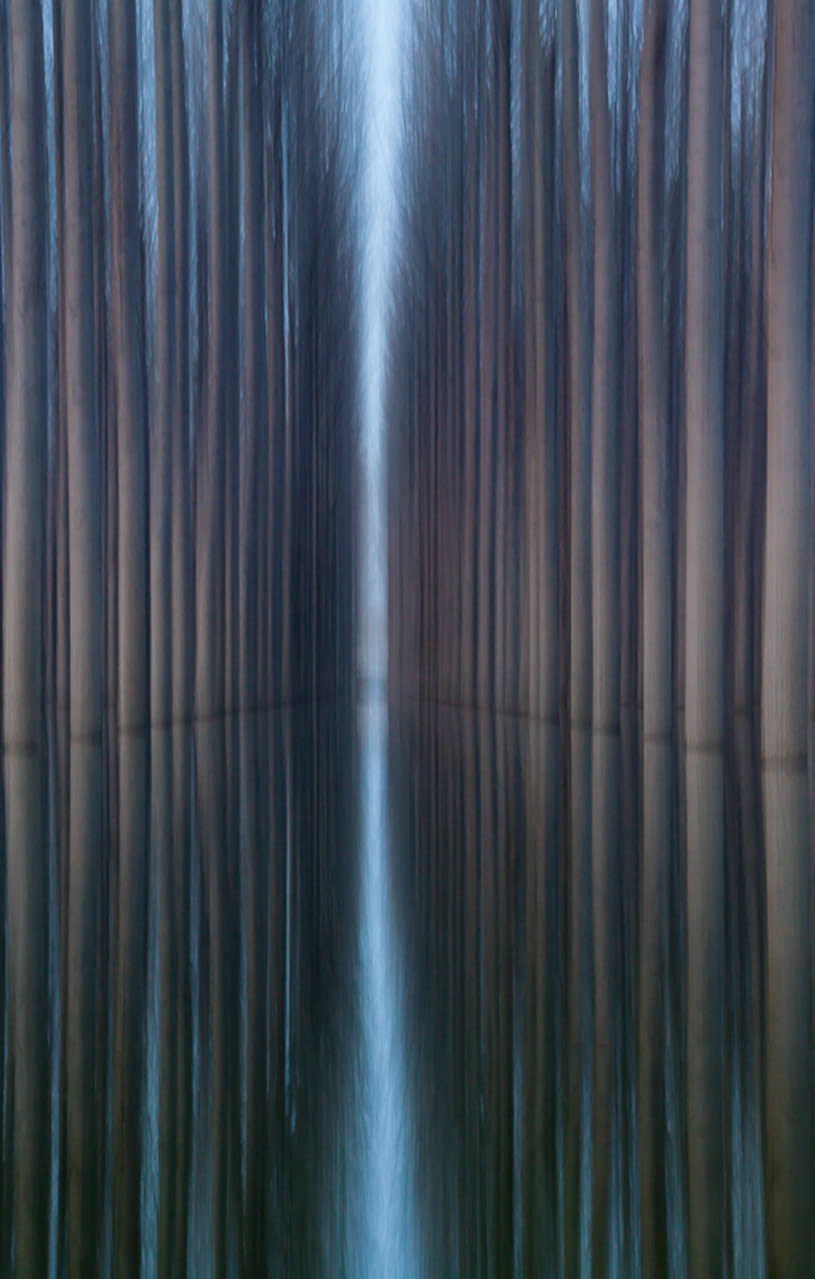 Mirrored Trees Photography