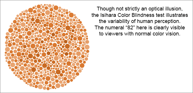 The Monkey Buddha: The Greatest (Worst) Optical Illusions