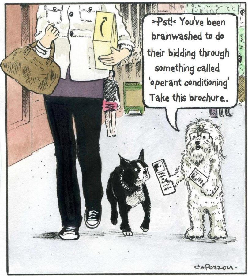 Terrierman's Daily Dose: It's a Cult, and You've Been Brainwashed