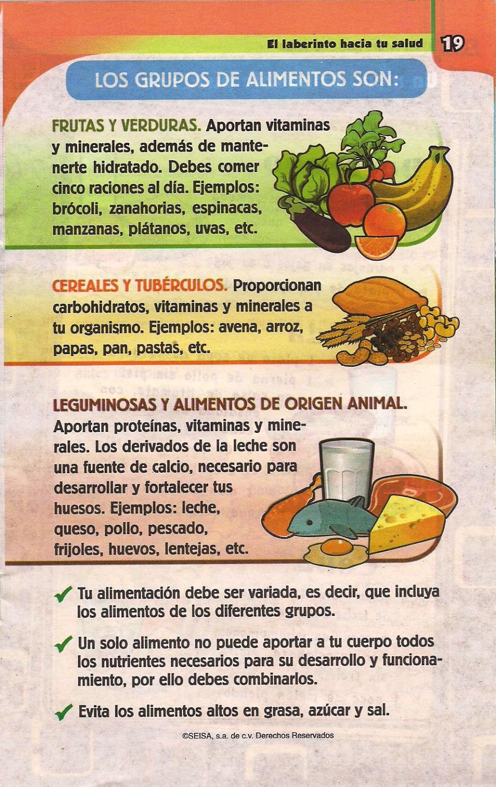LA NECESIDAD DE HÁBITOS SALUDABLES: EL LABERINTO HACIA TU SALUD-PRIMARIA LA NECESIDAD DE HÁBITOS SALUDABLES: EL LABERINTO HACIA TU SALUD-PRIMARIA