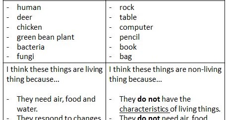 P3 Science: Activity Book