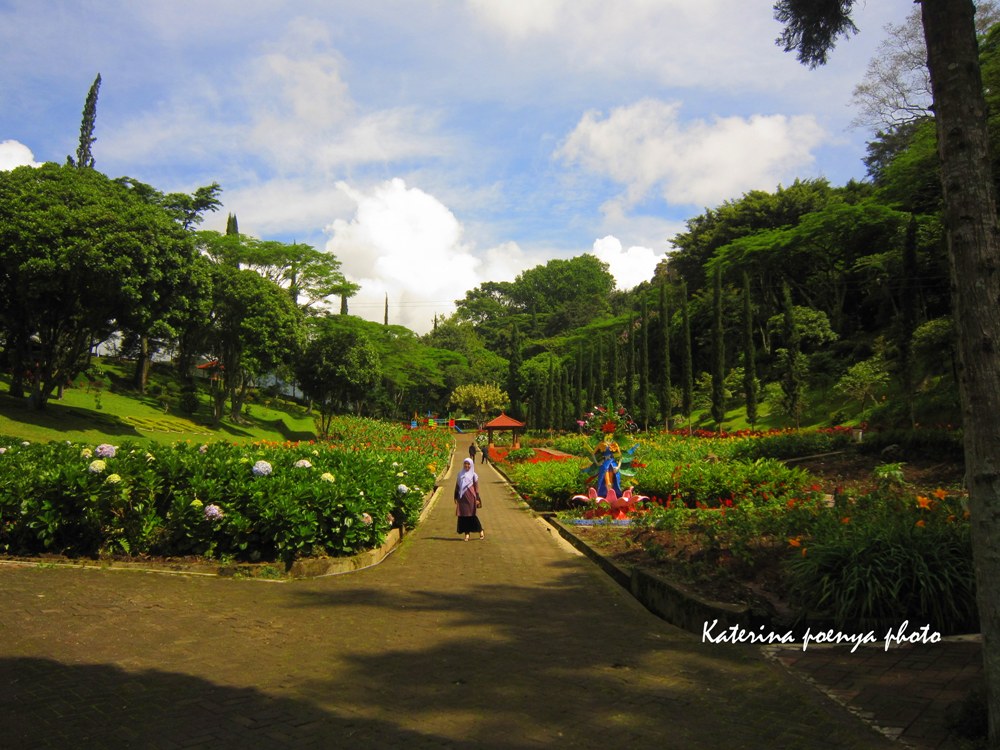 Merengkuh Indah Pagi di Taman Bunga Selecta - TᖇᗩᐯEᒪEᖇIEᑎ