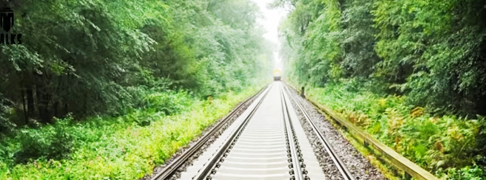 What is lines ???? | Edulevate