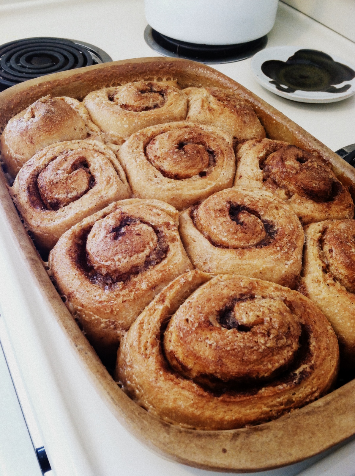 Blue Ribbon Caramel Cinnamon Rolls