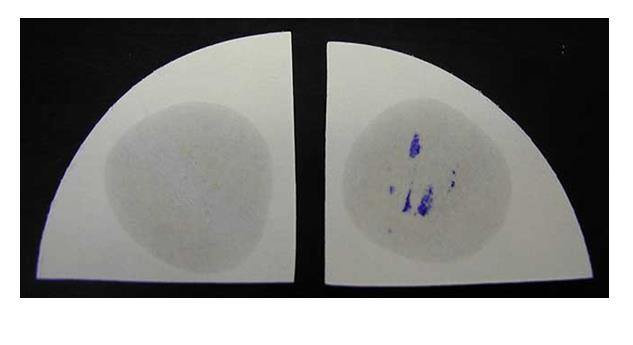 Protocol for catalase and Oxidase test for bacterial cells ~ Dhiraj's Blog