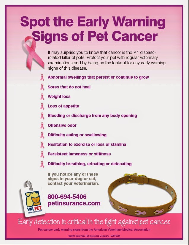 Kaukauna Veterinary Clinic News and Articles: May is Pet Cancer ...