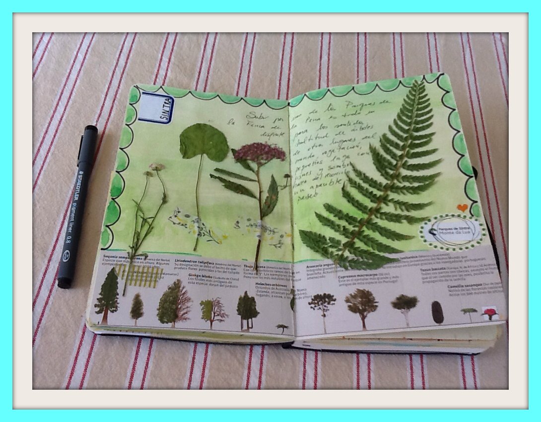 Como hacer un album de plantas - Imagui