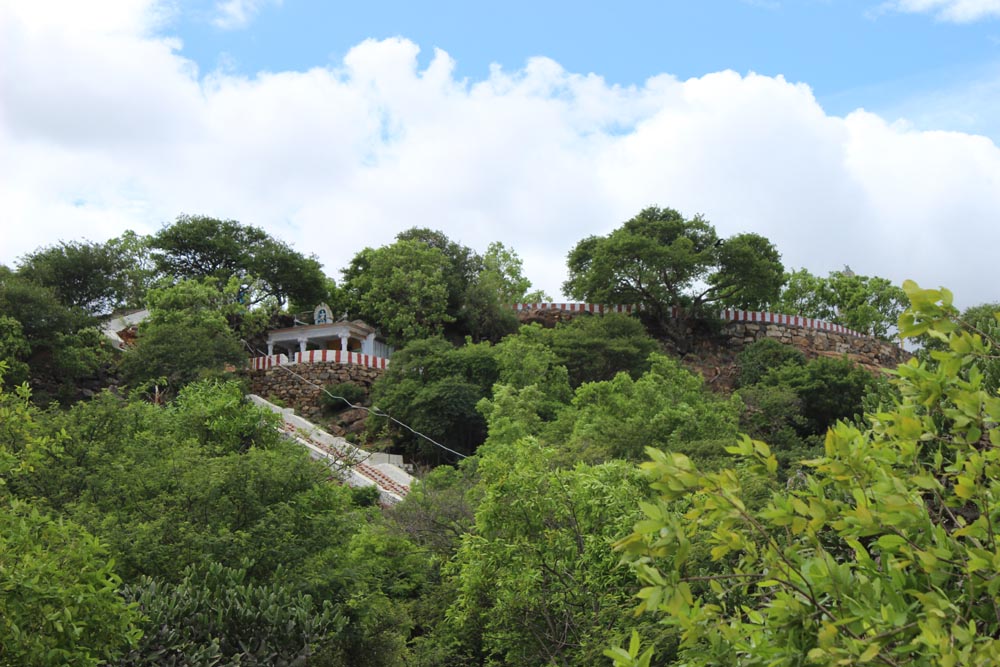 Tamilnadu Tourism: Dhandayuthapani Temple, Chettikulam, Perambalur