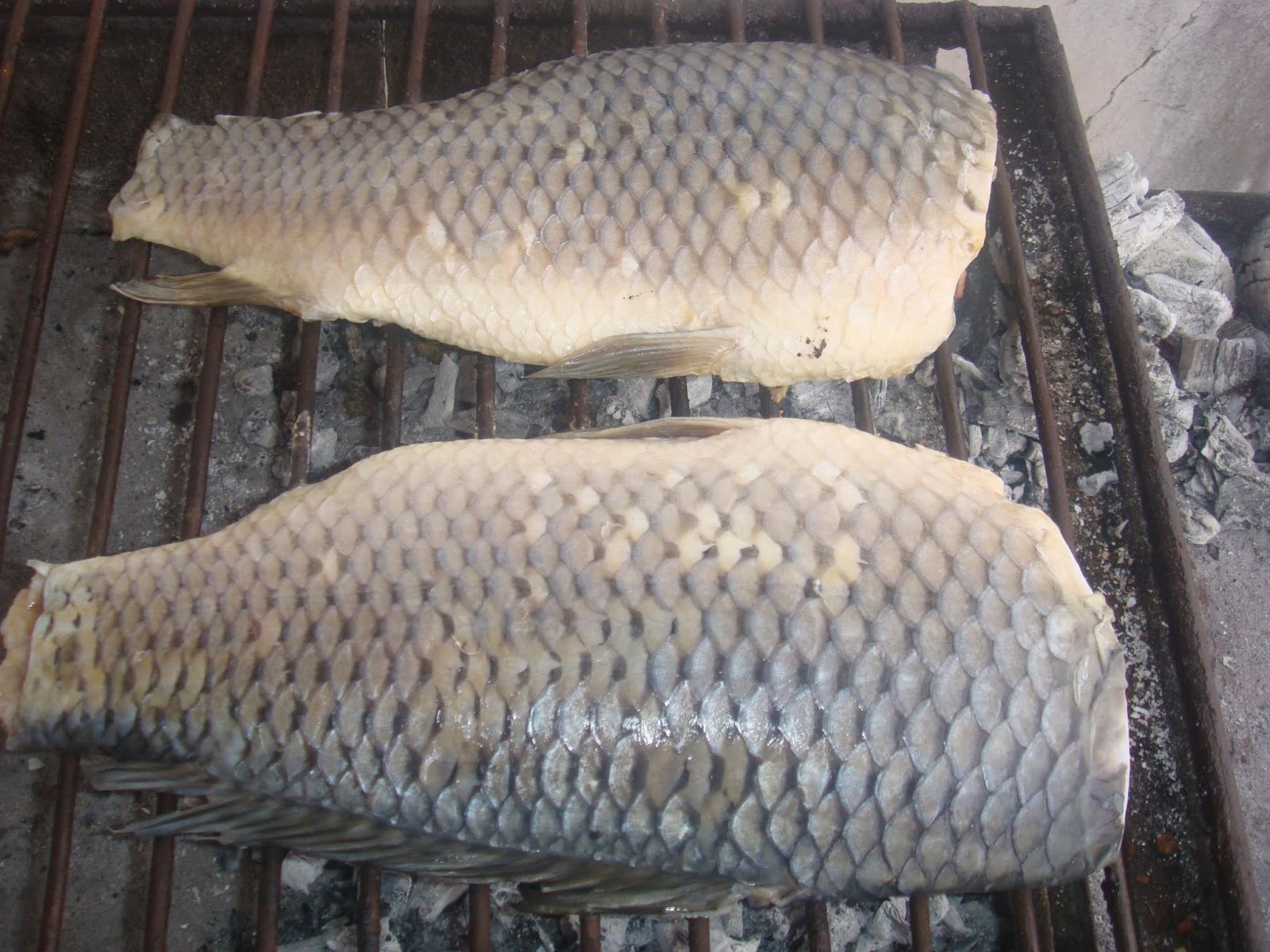 RECETAS Y ALGO MAS: CARPA A LA PARRILLA