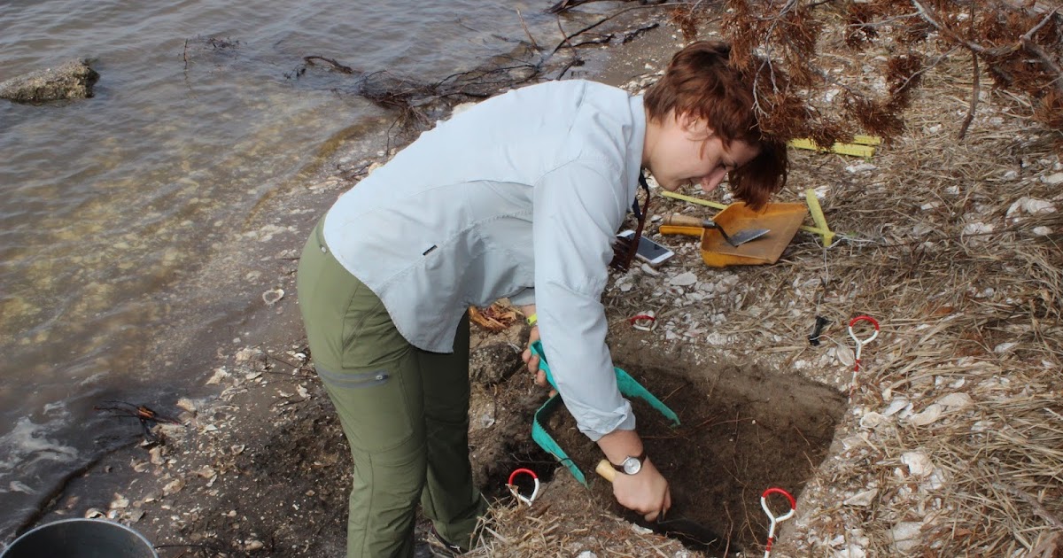 Updates from Monitoring at Shell Bluff Landing