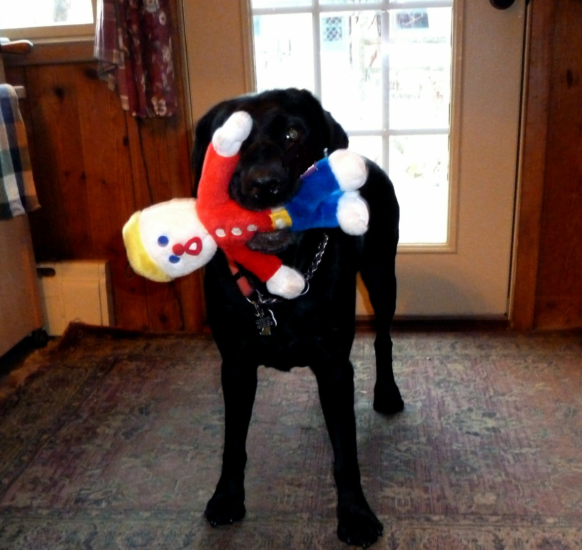 Rick, Deb and Izzy Aboard M/V Broulee and other Wild Adventures ...
