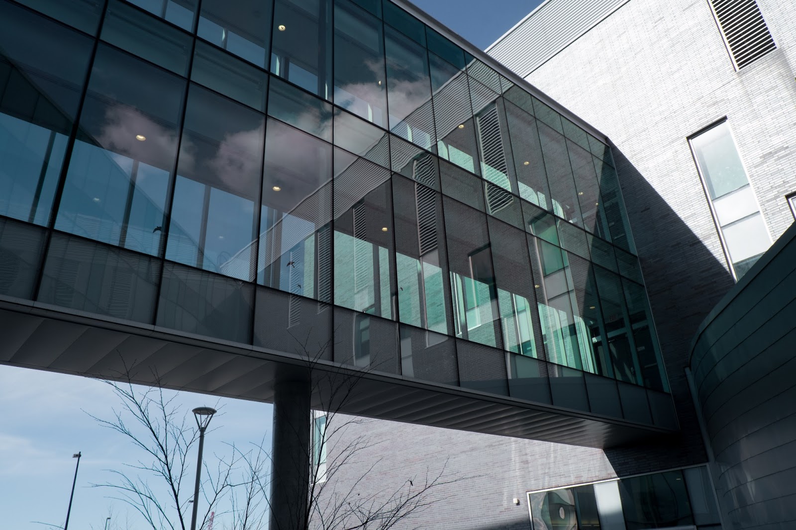 UTSC Pulse: Architecturology