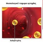 ΦΙΛΟΣΟΦΙΑ ΚΑΙ ΕΡΕΥΝΑ: Aποκάλυψη ΣΟΚ ! ΧΟΛΗΣ ! ΧΟΛΗΣΤΕΡΙΝΗ: ΜΙΑ ΣΥΓΧΡΟΝΗ ...