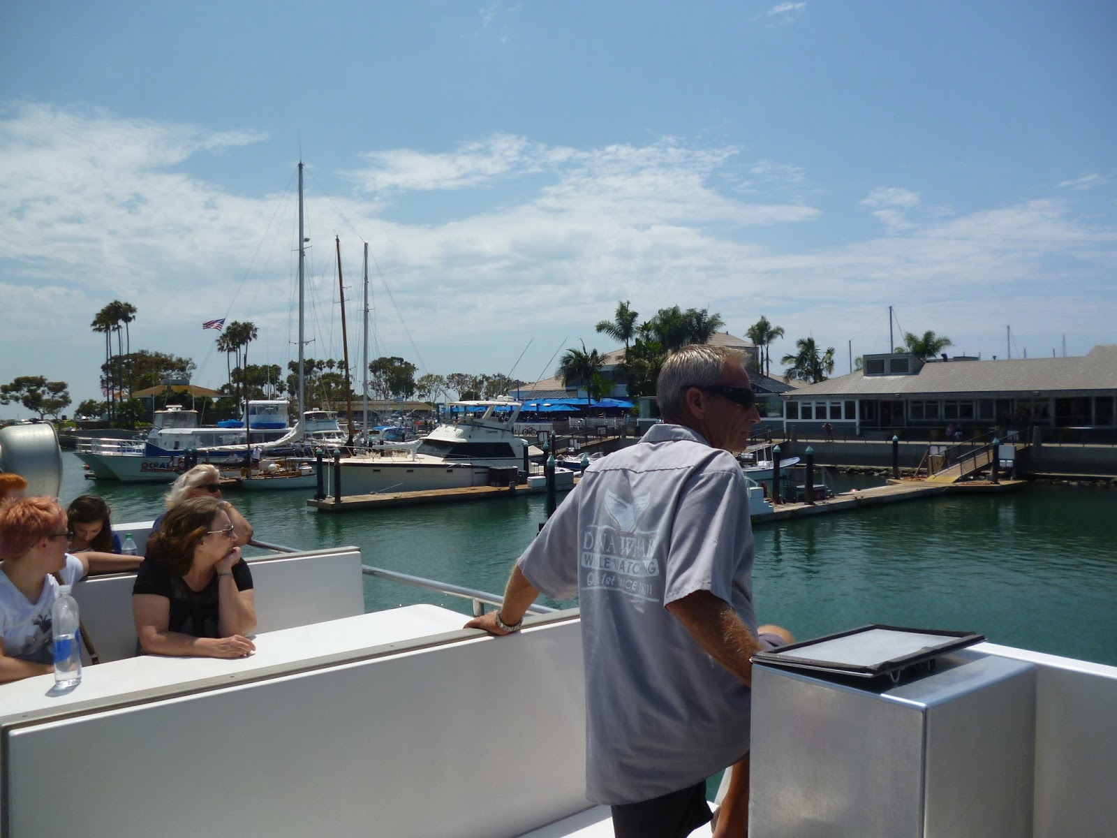 Linda Ballou Talking to You: Spotting Spouts on Dana Wharf Whale ...