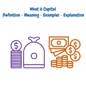 What is Capital In Accounting - Definition - Meaning - Examples ...